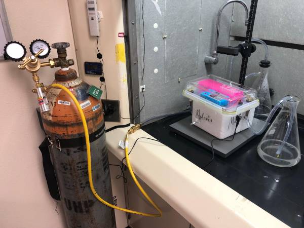 hypoxia_chamber_setup [McCormick Lab Wiki]